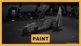 Buy Corsair - Eternity Paint at Star-Hangar.com